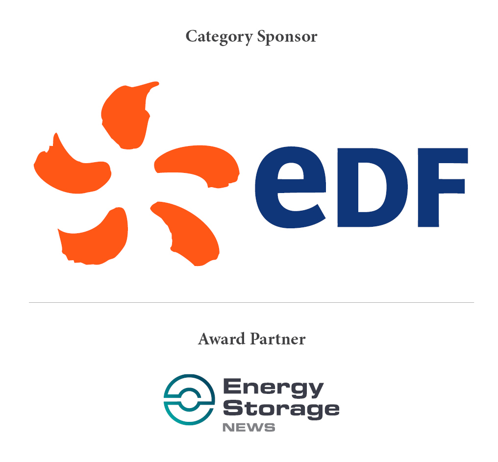 Homepage - Energy Storage Awards