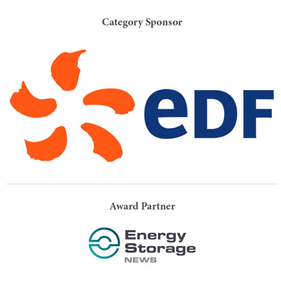 Homepage - Energy Storage Awards