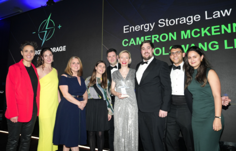 2024 Winners - Energy Storage Awards