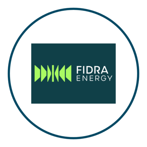 Financial & Commercial Awards - Energy Storage Awards